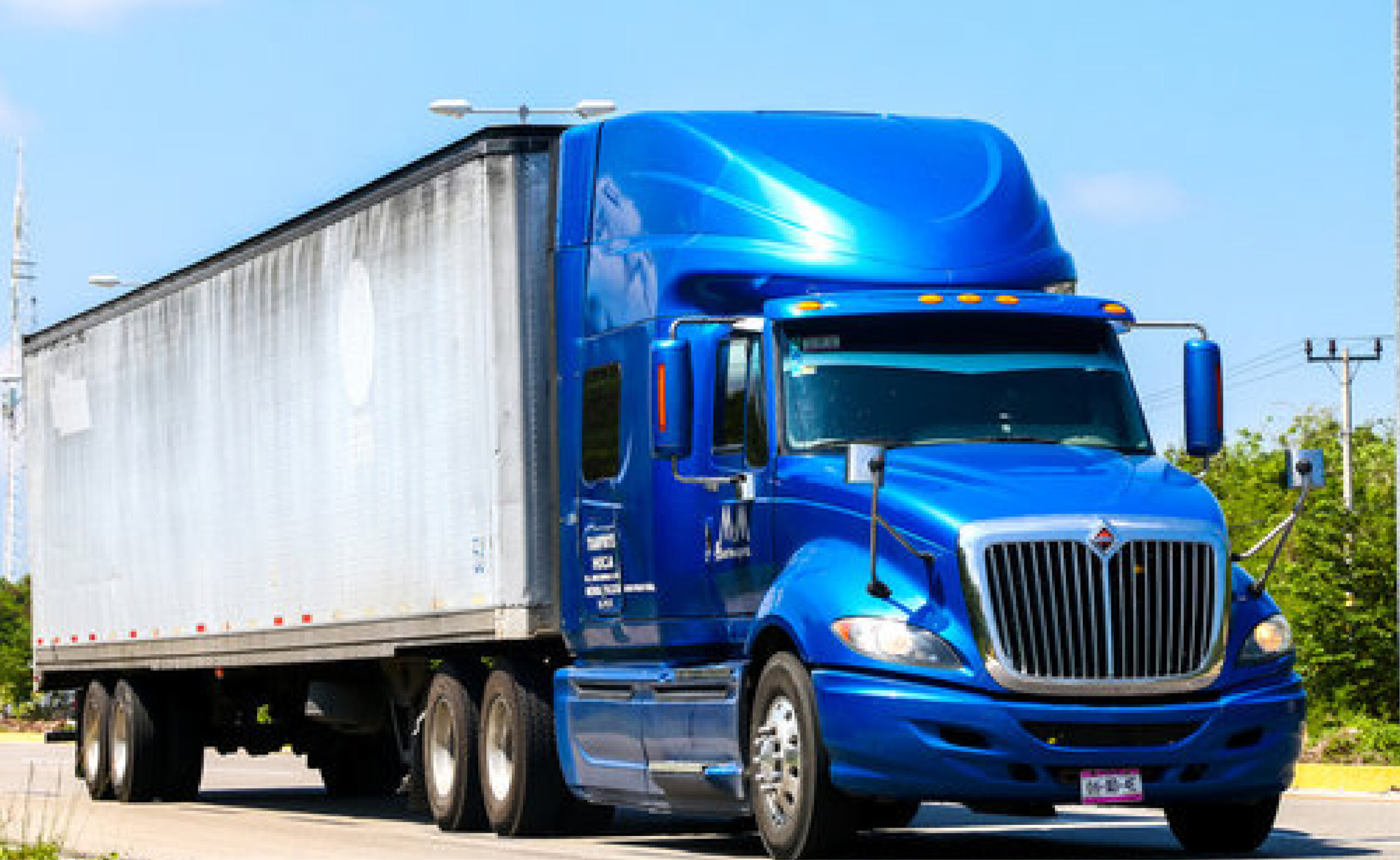 Scuff Liner - Trailer Liner - Trailer Scuff Liner | OMCO